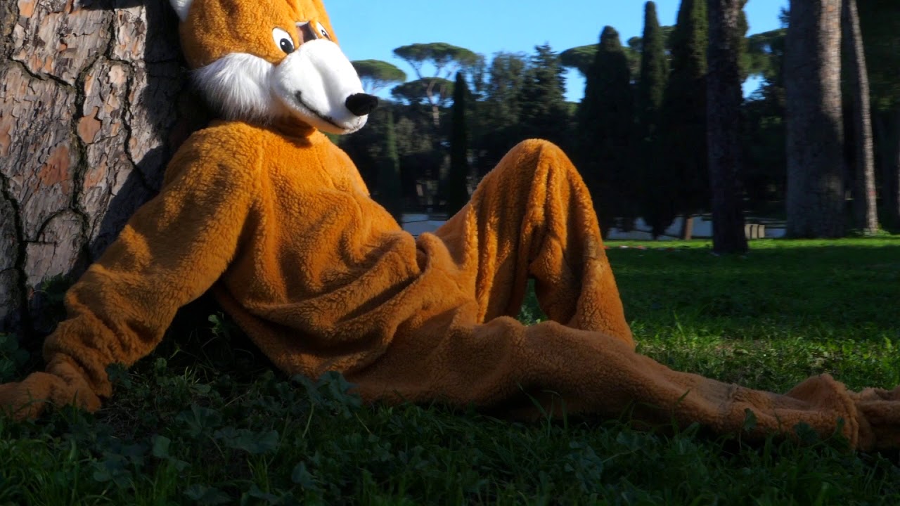 Fox Is Coming NEWS YouTube fox-is-coming-news-youtube