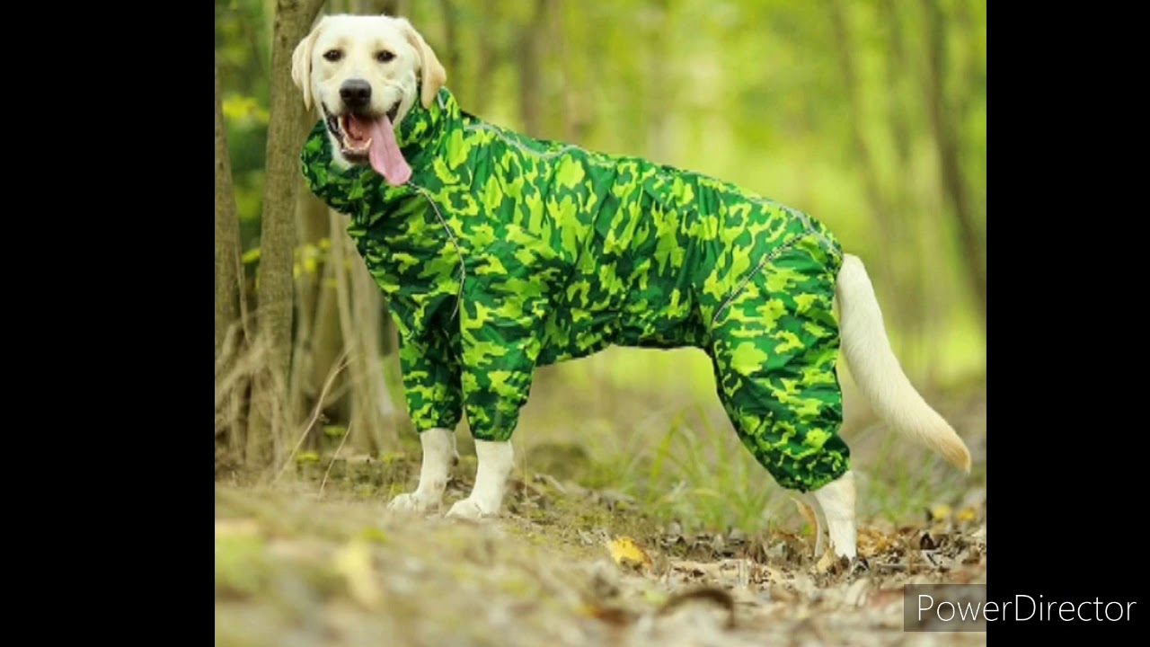 RIO LOOCK LOTEP LOTECE NACIONAL LBAHIA - YouTube