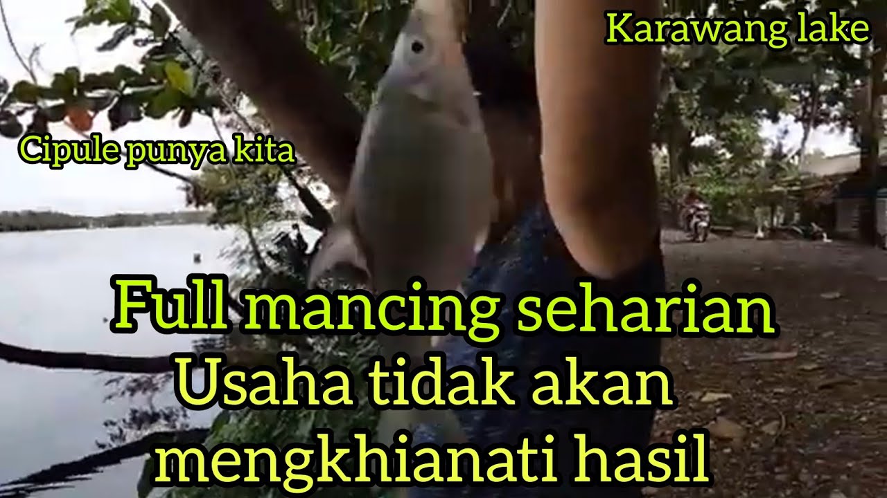 Mancing santai di danau cipule-KARAWANG-Full seharian|| Fishing ...