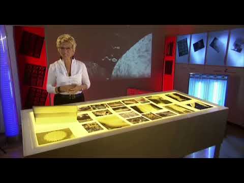Sevil Atasoy Anlatıyor: Tek Bedende Farklı DNA Profilleri - Çağla Tuğaltay Dosyası - 5. Bölüm