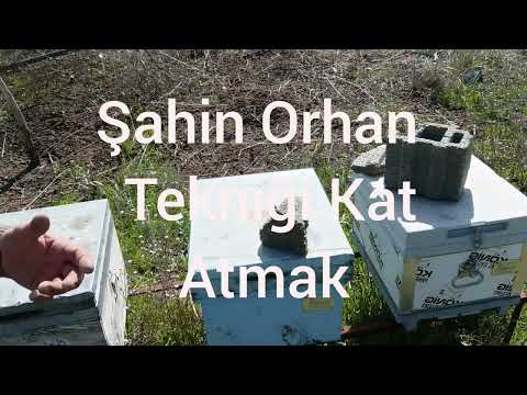 KAT ATMADA ALMAN USULÜ TÜRK USULÜ VE ŞAHİN ORHAN TEKNİĞİ 