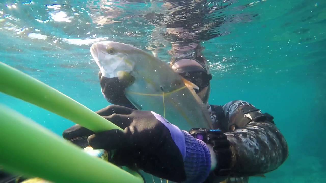 Ψαροντούφεκο στα ρηχά -shallow water spearfishing by thomas 2016 part 4 ...