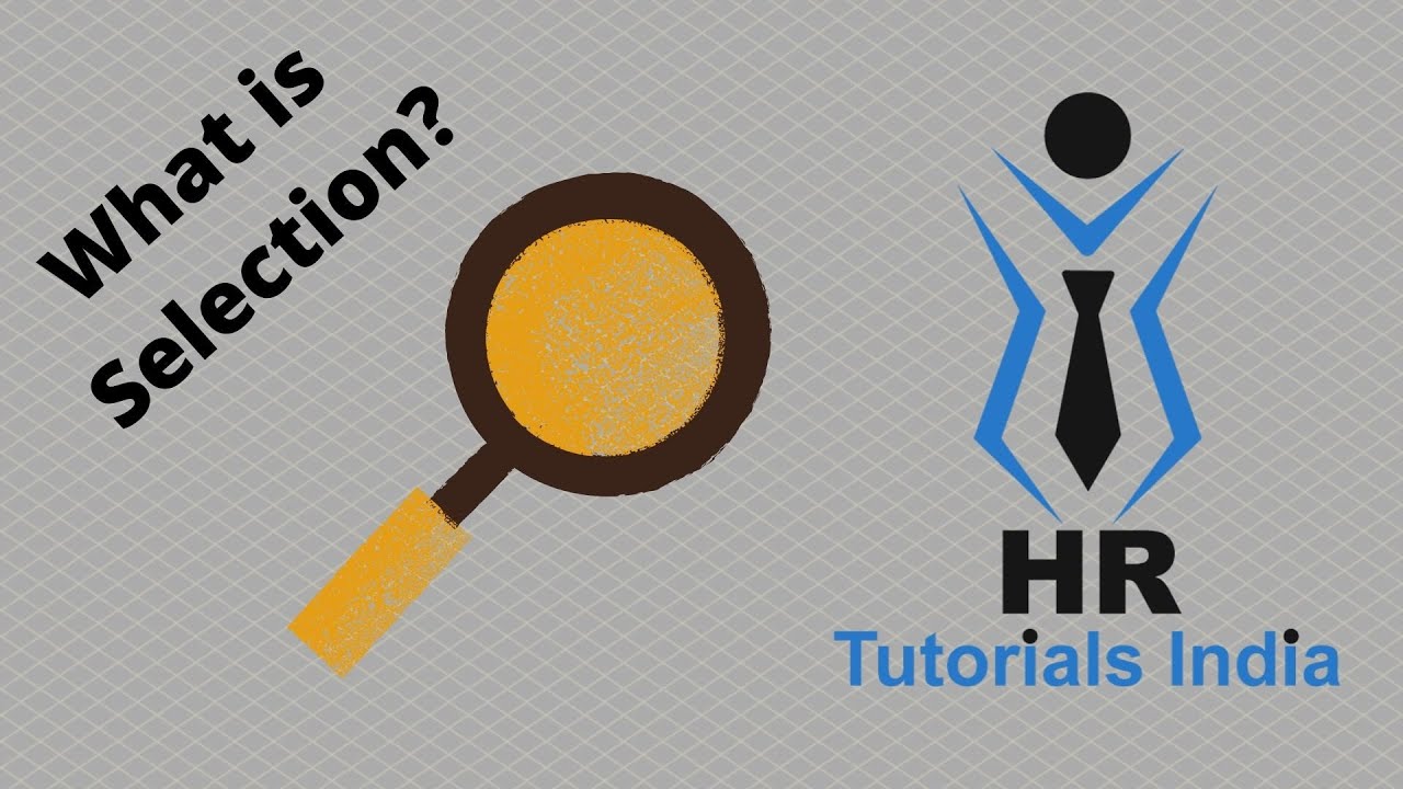 What Is Selection? | Importance Of Selection | HR Tutorials India ...