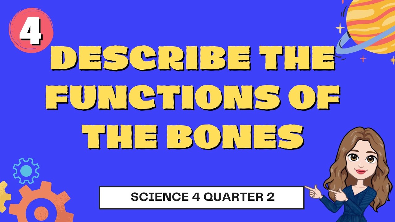 Describe the Functions of the Bones ll Science 4 Quarter 2 - YouTube