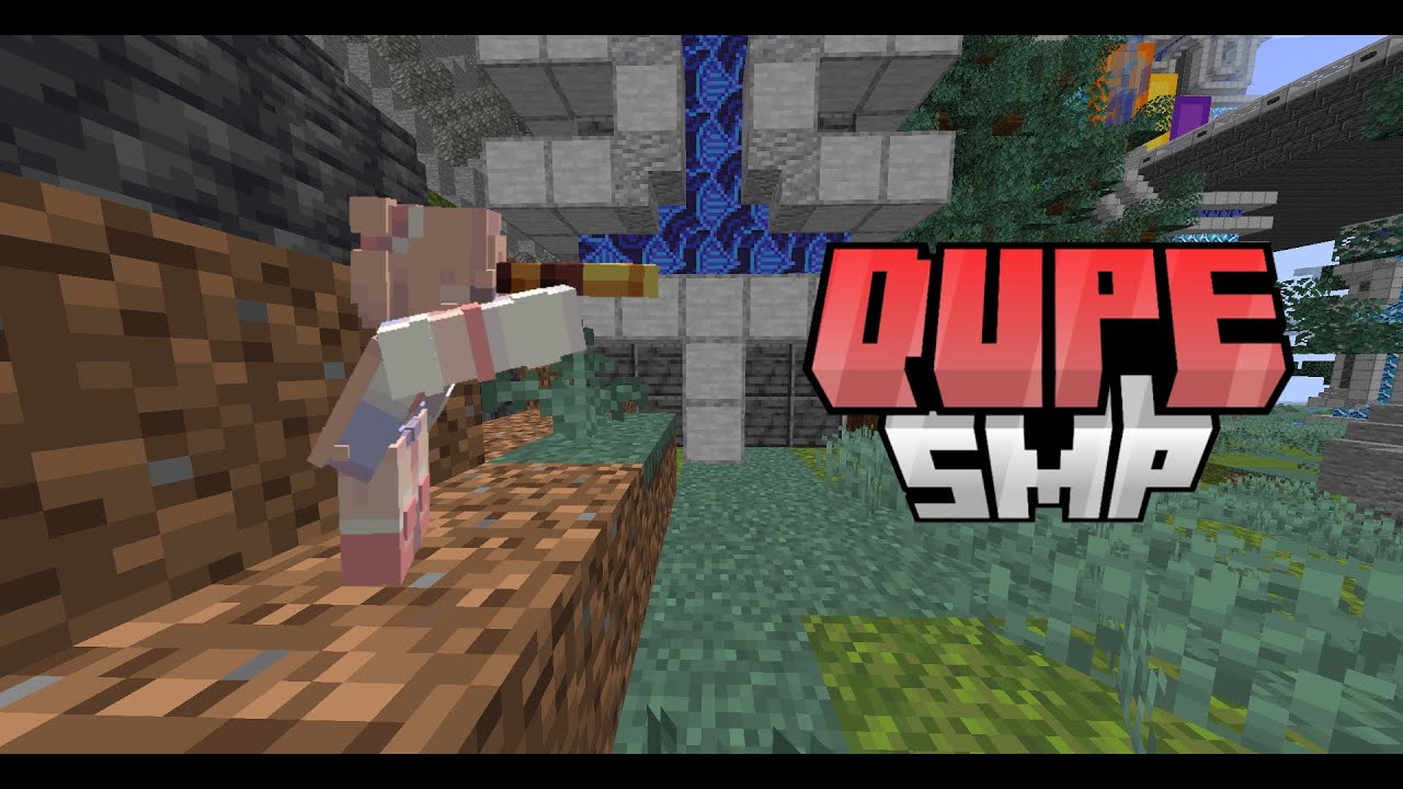My application to the DUPE SMP!(Accepted) - YouTube