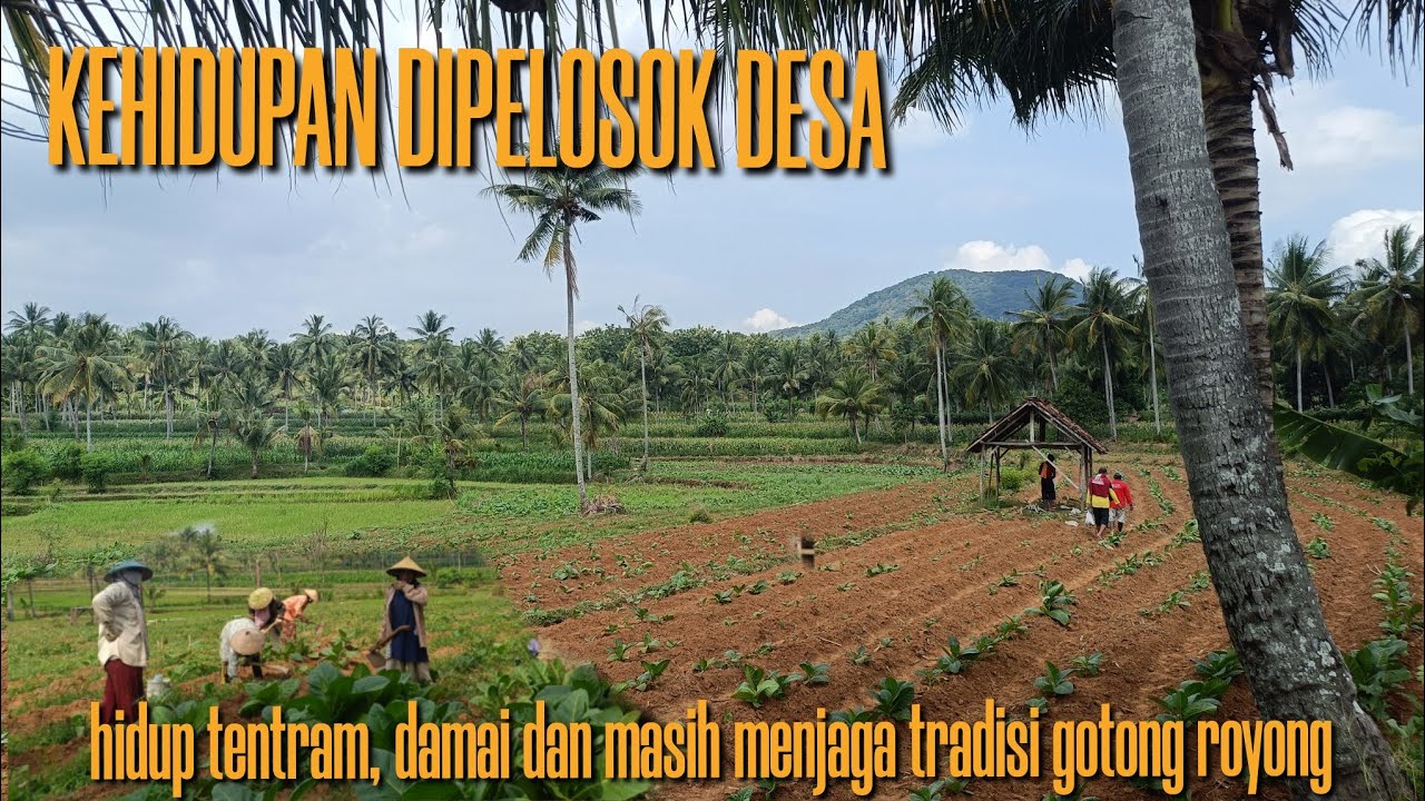 Realita kehidupan dipelosok desa !!! warga masih menjaga tradisi budaya ...