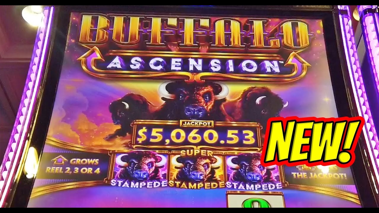 Lets check out the new Buffalo Ascension Slot! max bet live play - YouTube