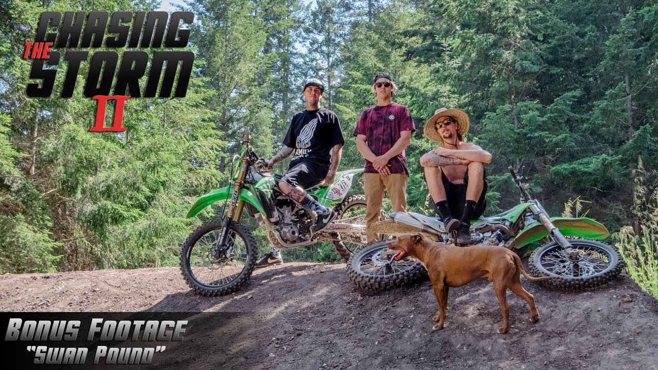 Chasing The Storm 2 - Swan Pound Bonus - YouTube