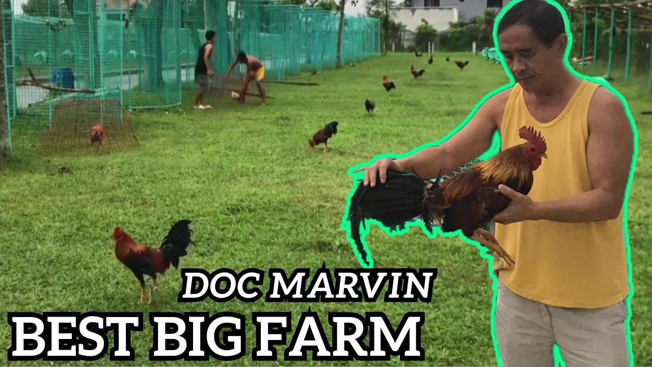 COLOR FAMILIARIZATION! Best Big Farm in The Philippines - Doc Marvin ...