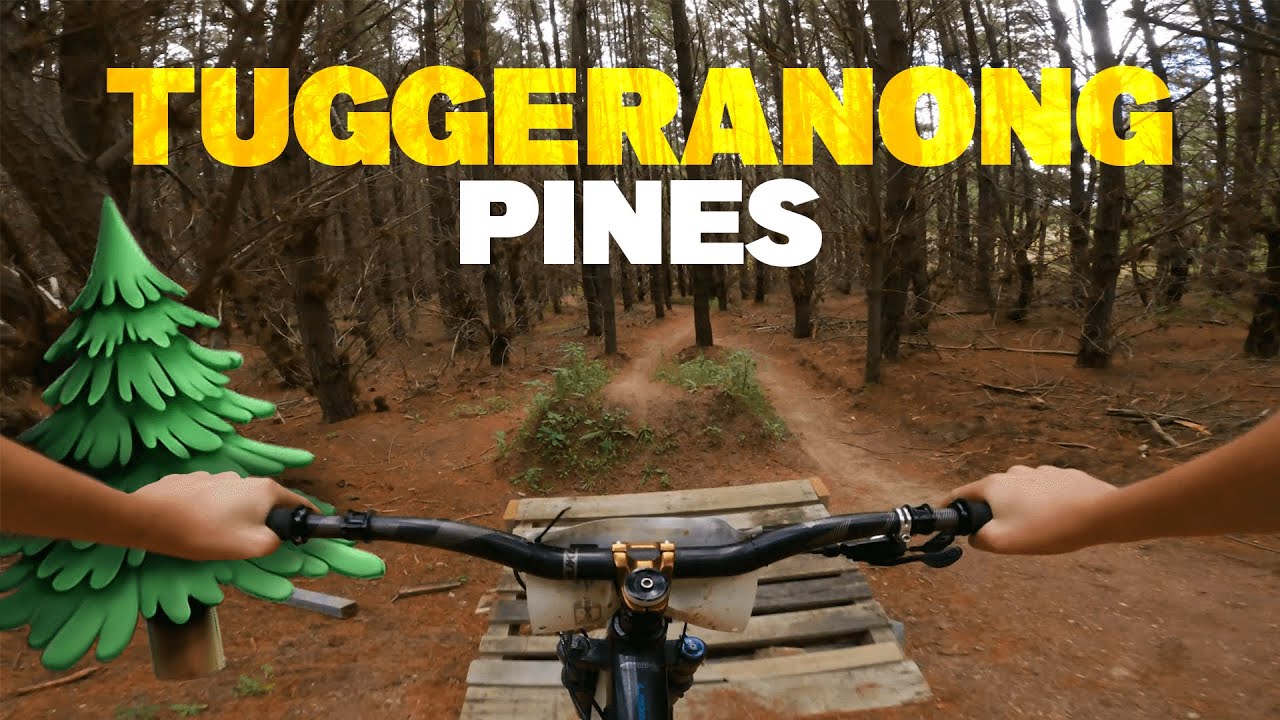Tuggeranong Pines is INSANE!! | Canberra MTB | Majura Pines ...
