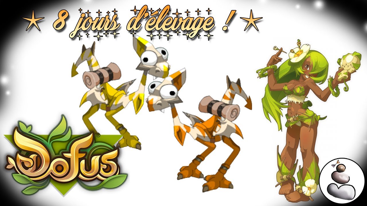 [Dofus] Point sur l'élevage des DD après 1 semaine - YouTube