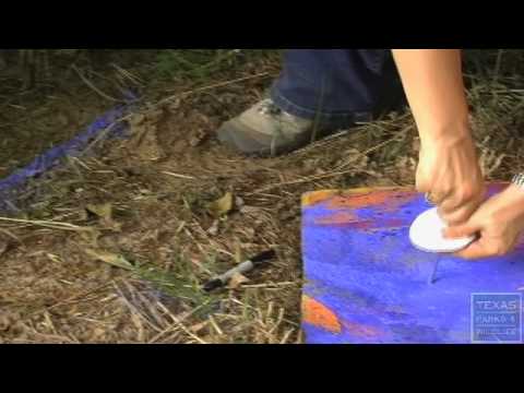 Field Survey Techniques: Introduction - YouTube