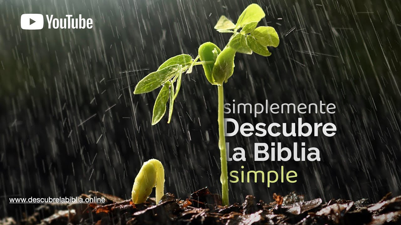 02 Simplemente Descubre la Biblia, simple. Génesis 2 - YouTube