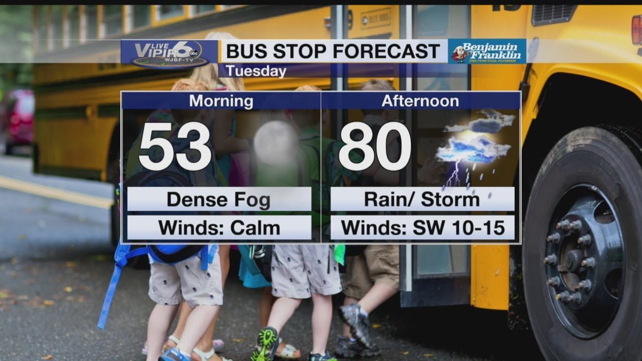 Bus Stop Forecast Tuesday, February 12, 2019 - YouTube