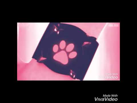 Zak Storm/Zak und Cece Love Story #13