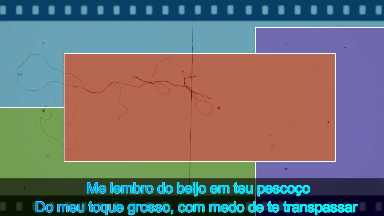 Liniker -- Zero ( Letra ) - YouTube