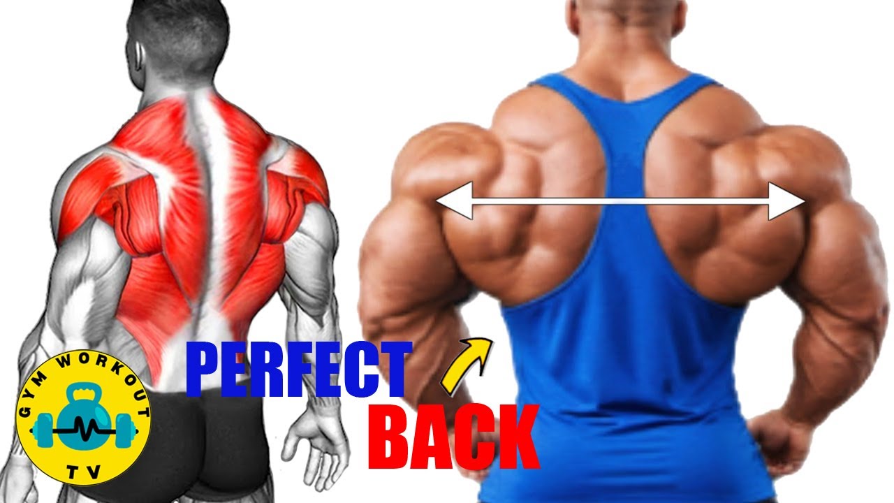 6 Perfect Back Exercises (Fastest) | Back Workout at Gym - YouTube
