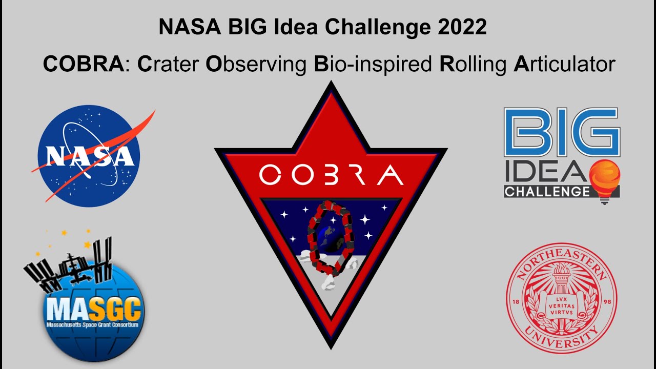 2022 Cobra