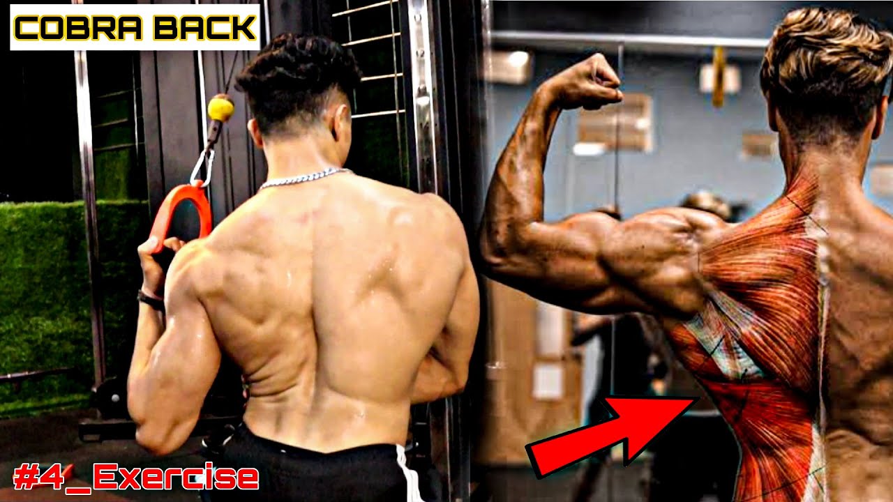 Top 4 V-Shape Back Exercise In GYM | Fitness Master Deepak - YouTube