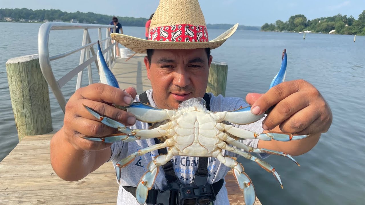 ASI SE PESCAN LAS JAIBAS( BLUE CRABS, CANGREJO AZUL) EN MARYLAND - YouTube
