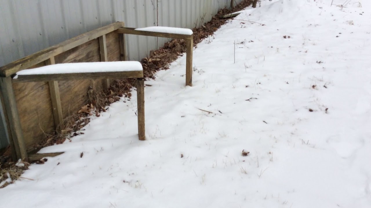 Another snow storm!!! - YouTube