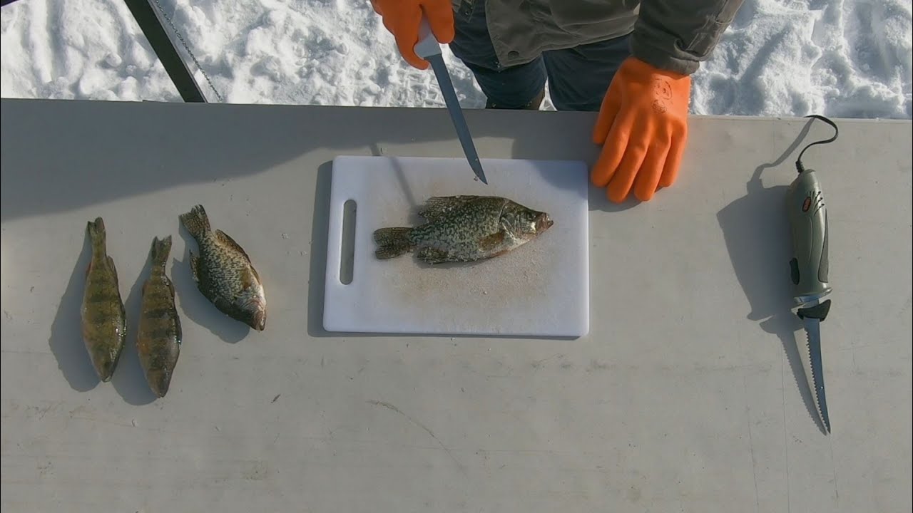How to Fillet Panfish - YouTube
