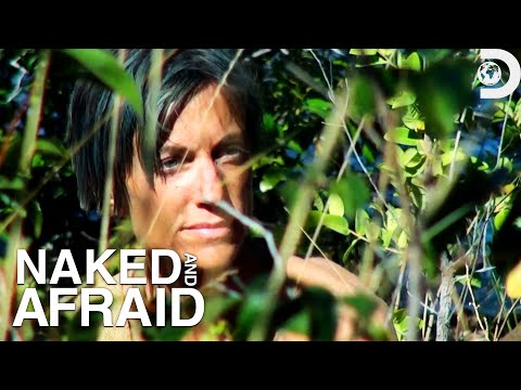 Suzänne Eats WASP LARVAE! | Naked and Afraid | Discovery