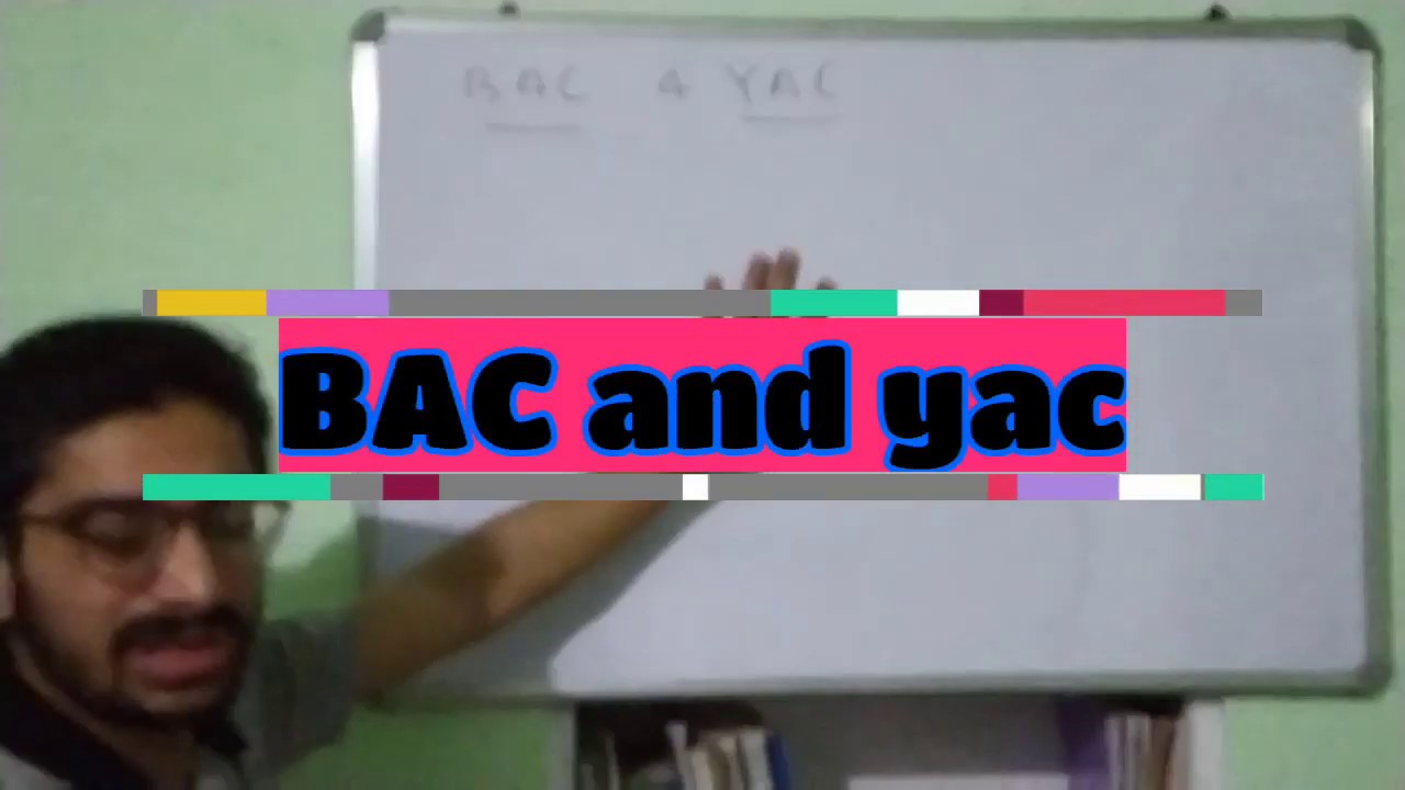 BAC and yac of human genome project (4) - YouTube
