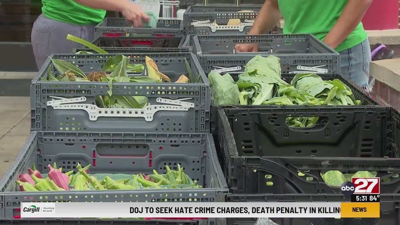 'Mobile Market' brings affordable, fresh produce to York - YouTube