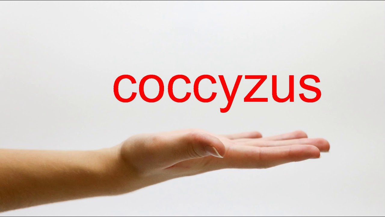 How to Pronounce coccyzus - American English - YouTube