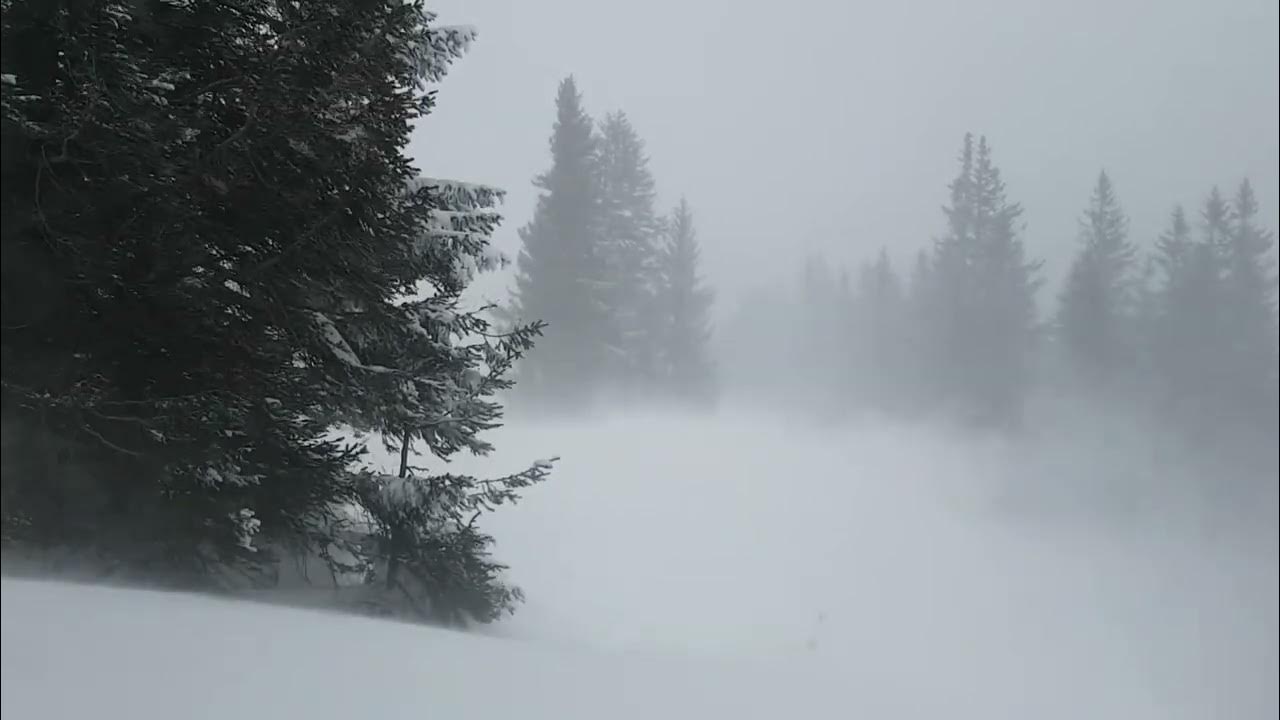 Perfect Sounds For Sleep | Heavy Wind & Snow | Howling Blizzard Sounds | Epic Snowstorm - YouTube