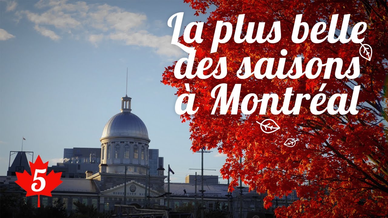 🍁 La plus belle des saisons à MONTRÉAL #05 🇨🇦 - YouTube
