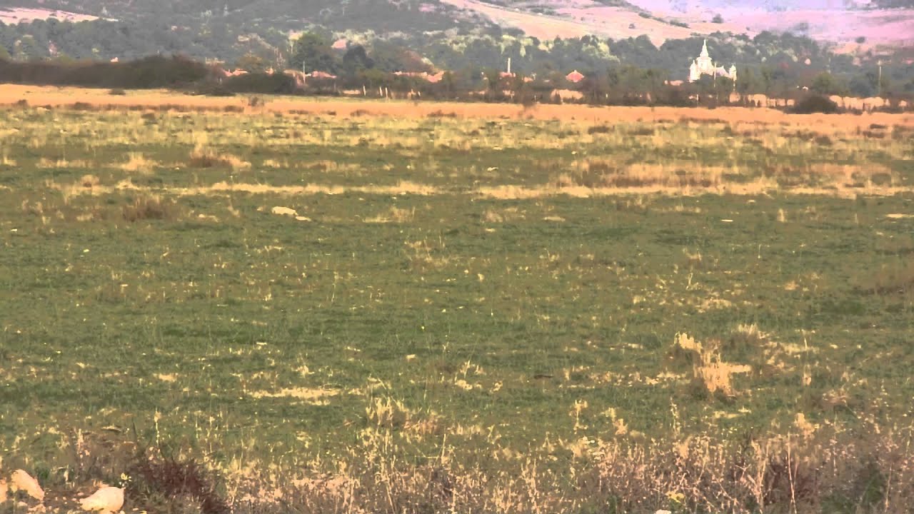 250 Hectares 2 - YouTube