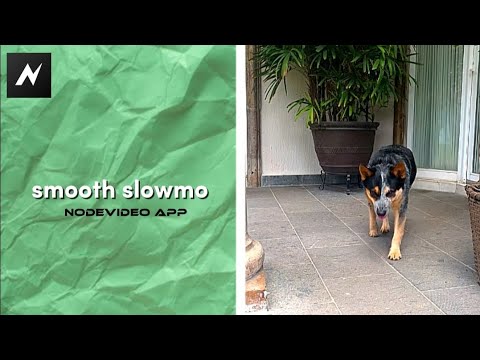 Smooth slowmo tutorial [Nodevideo] // Mapahx - YouTube