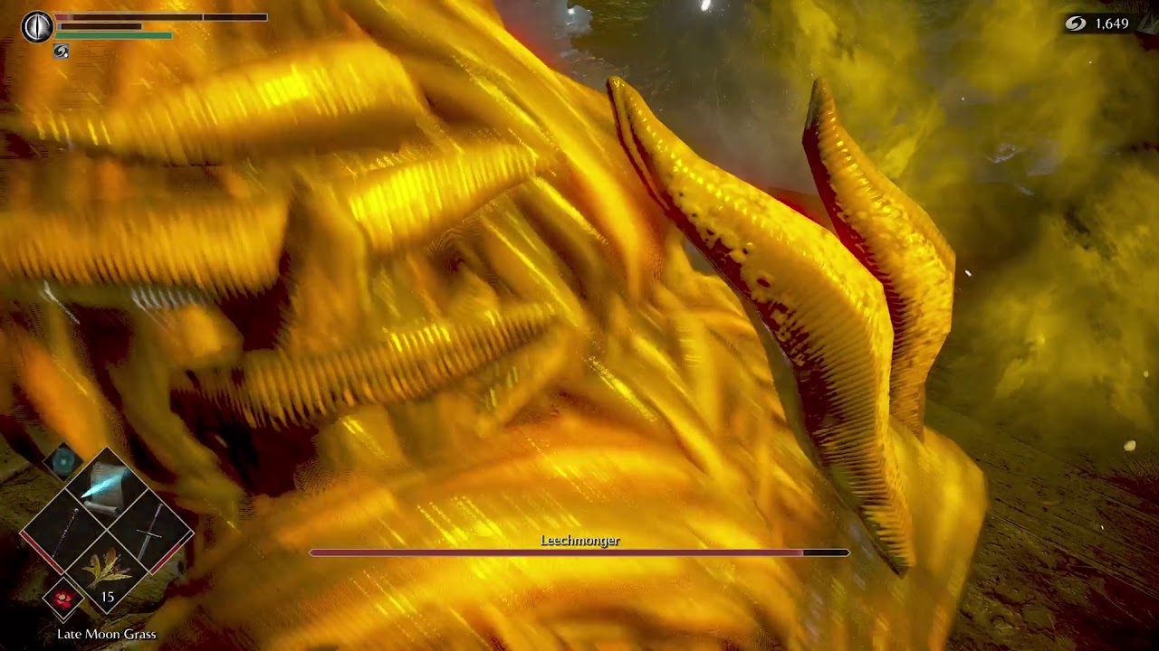 How to Beat the Leechmonger: Demon's Souls - YouTube