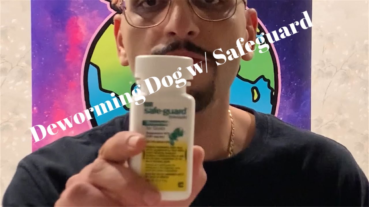 Deworming A Puppy With Safeguard Goat Dewormer - YouTube