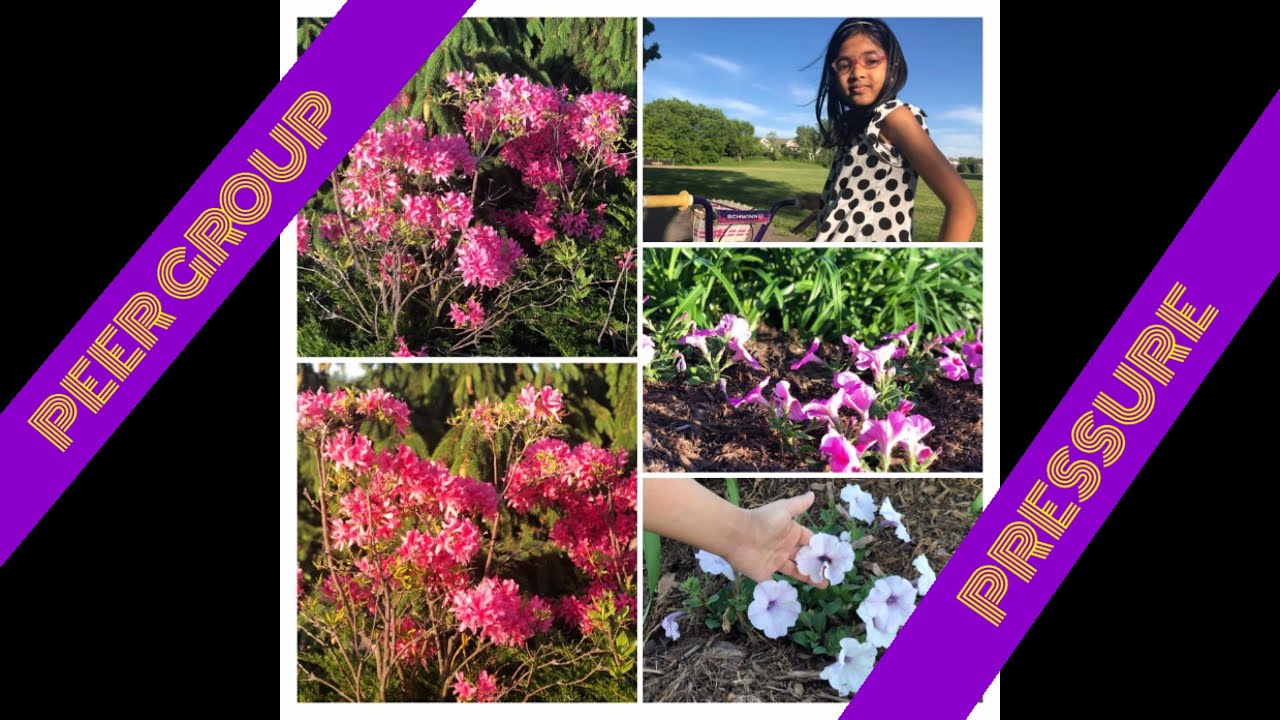 WHATS PEER GROUP PRESSURE????HOW TO RECOGNIZE POSITIVE PGP AND NEGATIVE ...