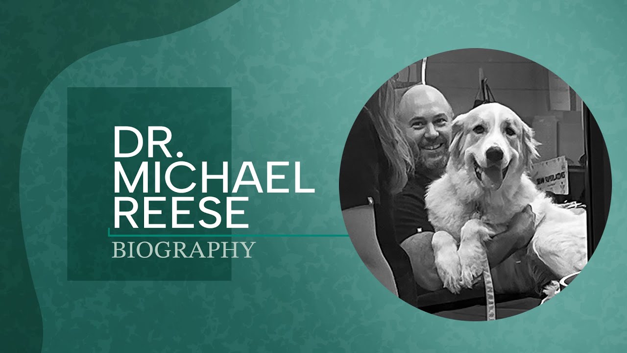 Get To Know Veterinary Neurologist, Dr. Michael Reese - YouTube