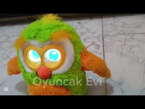 MASALCI MUTLU KUŞ 🦉