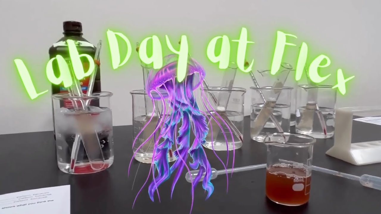 Science Lab at FLEX - YouTube
