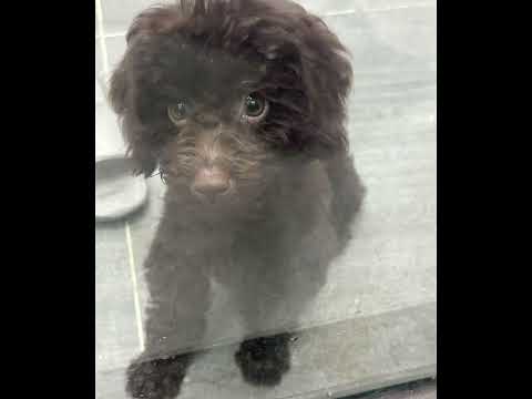 Tháp Ta Cùng Xây - Tee3n (prod. Jockerz)