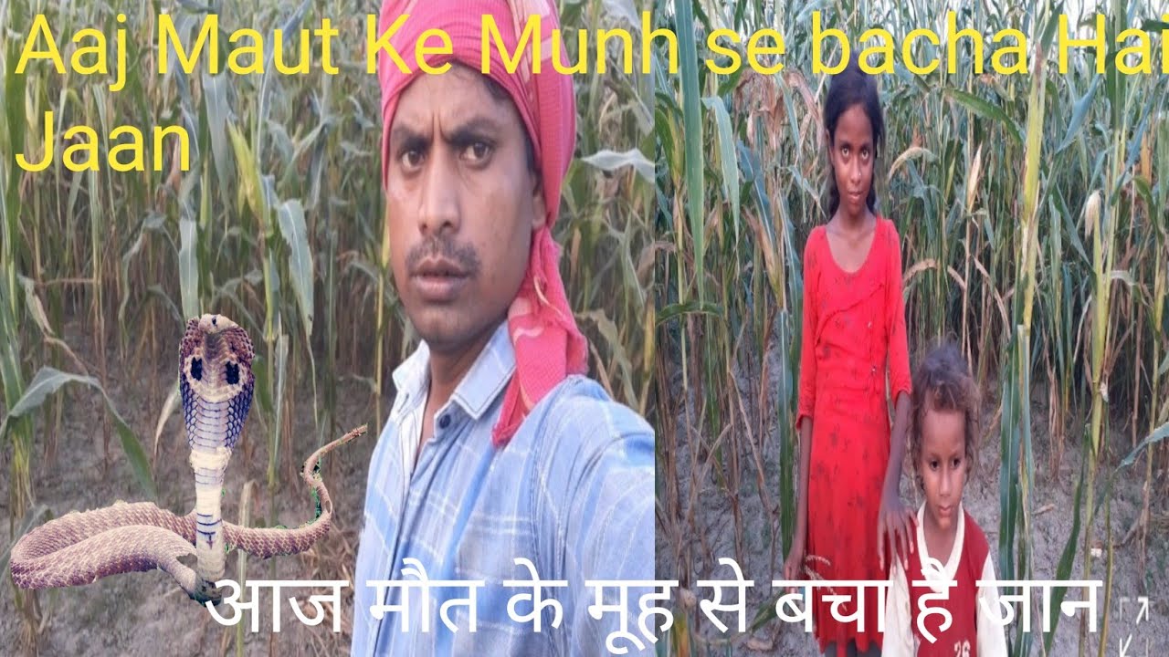 DOLOG KI JAN BAL BAL BCHA|SAAMP KATEGA TO KYA KARNA CHAHIE - YouTube