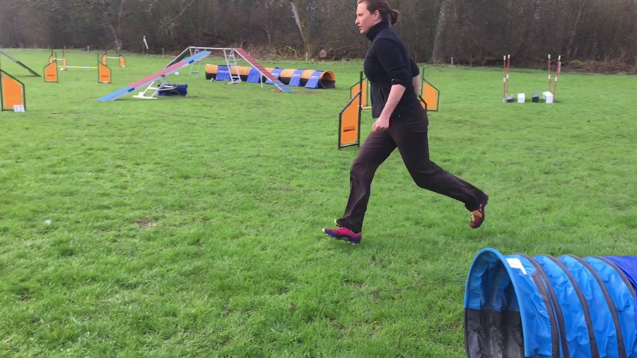 Guy 16 months agility training - YouTube