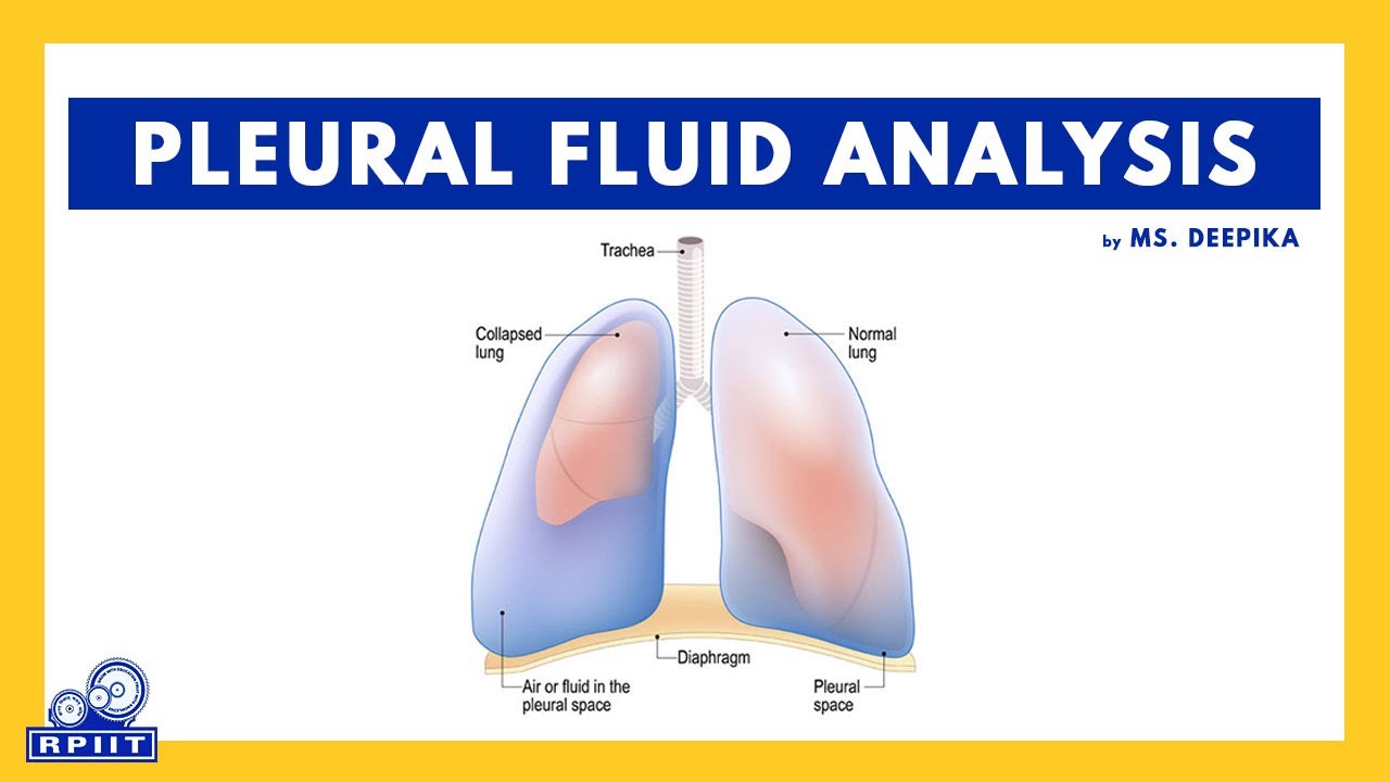 Pleural Fluid Analysis by Deepika | RPIIT Academics - YouTube