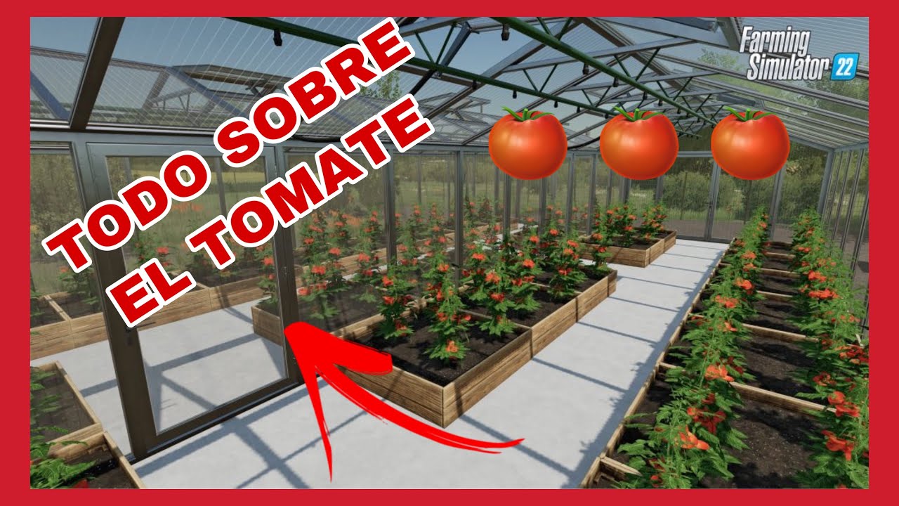 🍅Todo sobre los TOMATES [invernaderos] en Farming Simulator 22 - YouTube