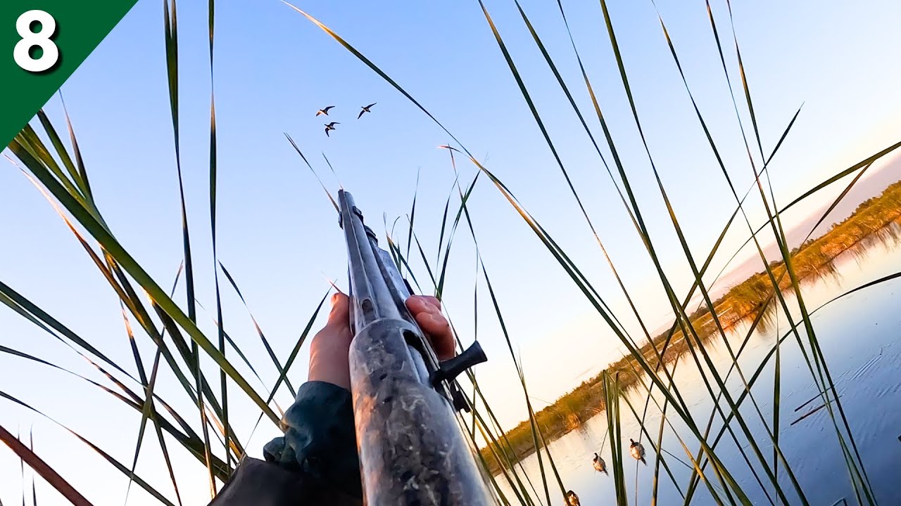 Duck Hunting My Favorite Minnesota Public Marsh! (Limited Out) - YouTube