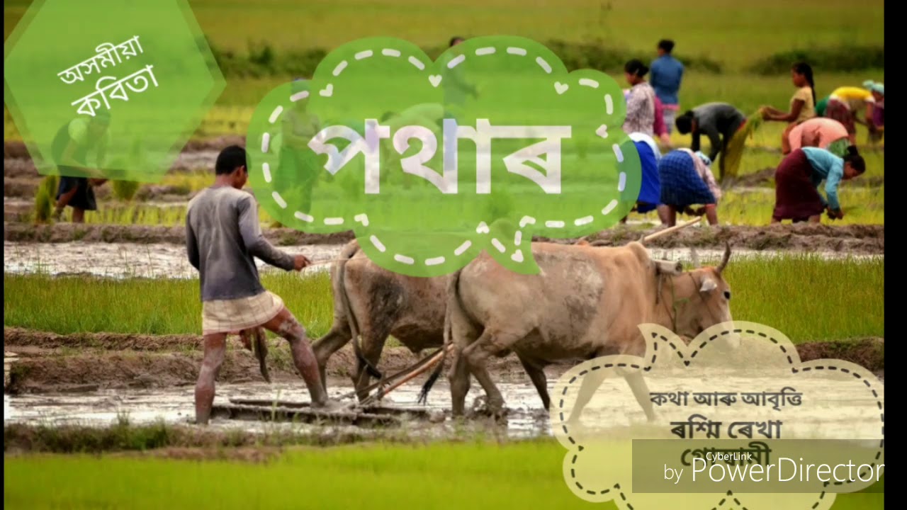 পথাৰ(Pothar) Assamese Poem. - YouTube