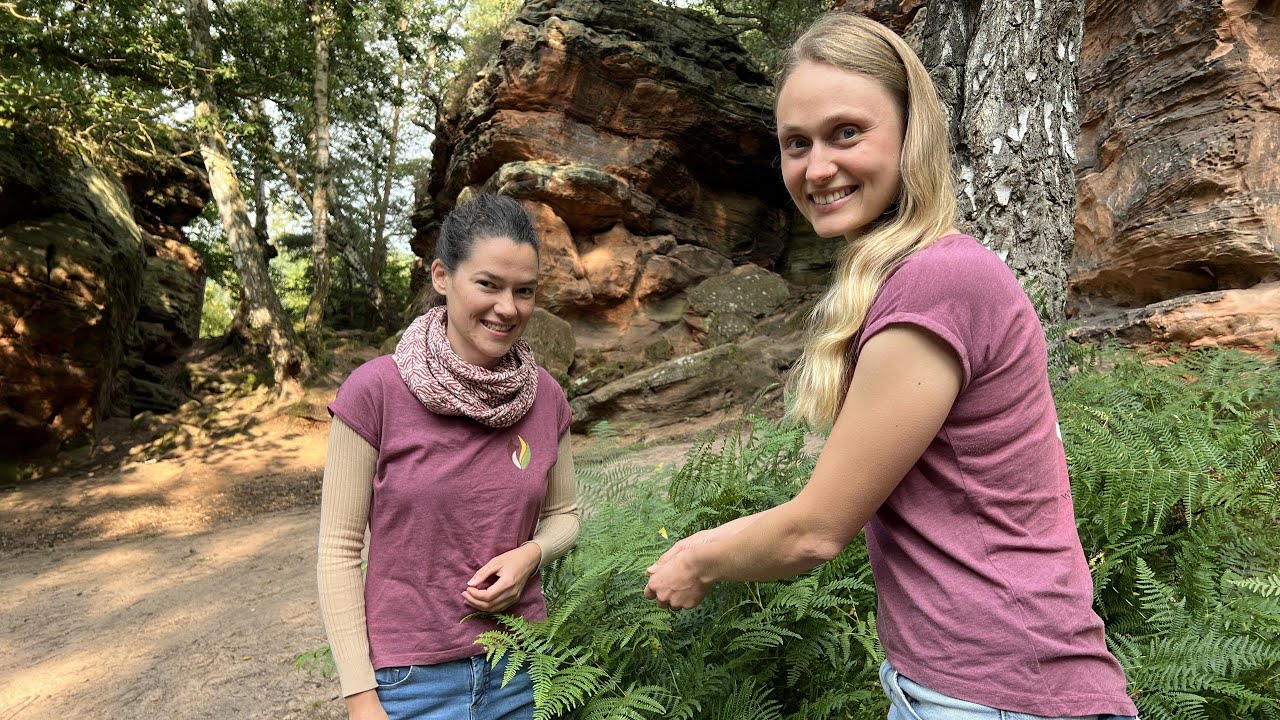 Natur- und Wildnisschule "Wildnisblick" - YouTube
