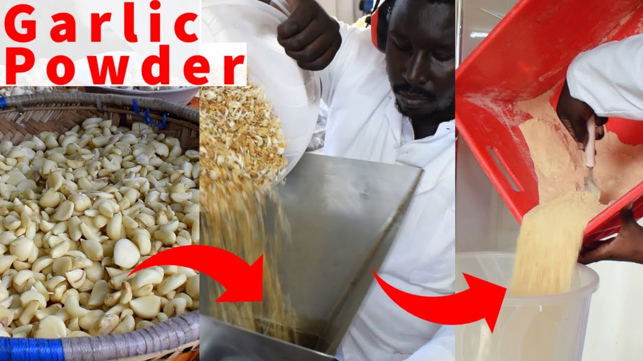 How to Process Fresh Garlic into Garlic Powder, Kenya-Africa - YouTube