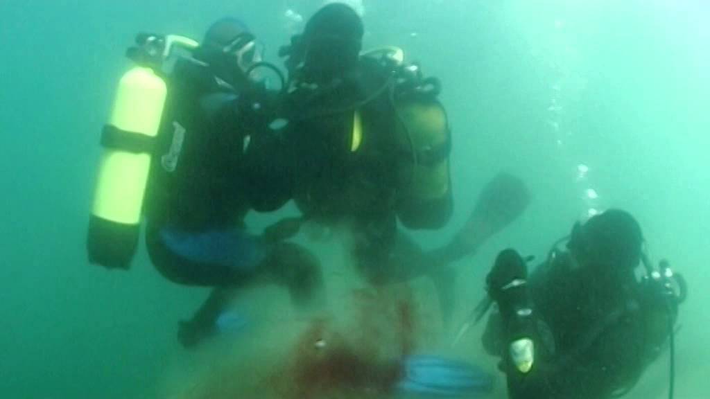 Scuba murder. Top, too, got ... Black Sea. - YouTube